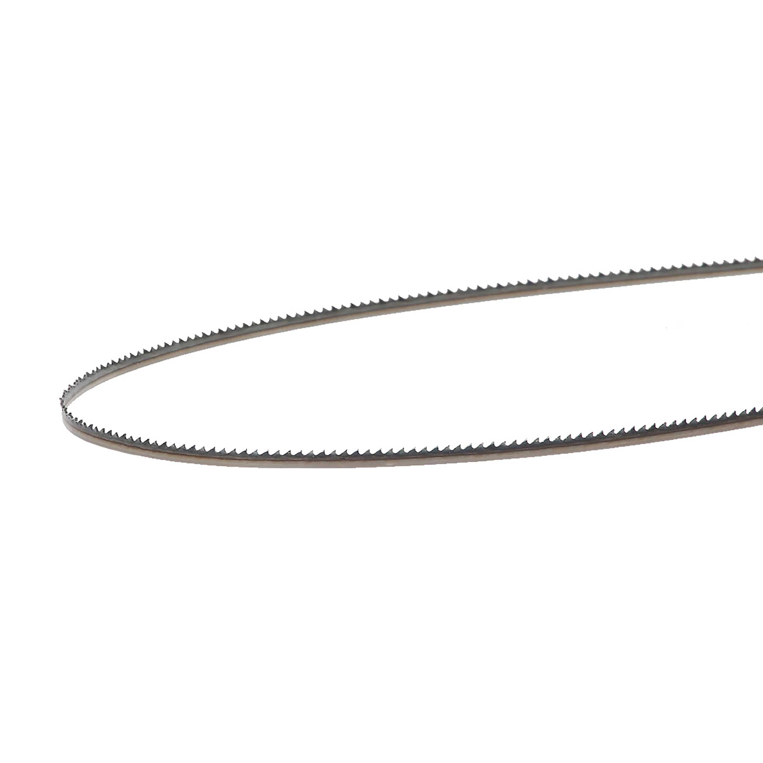 Timber Wolf Bandsaw Blade - 56-1/8" x 3/16" x .025" x 10 TPI - Raker ...